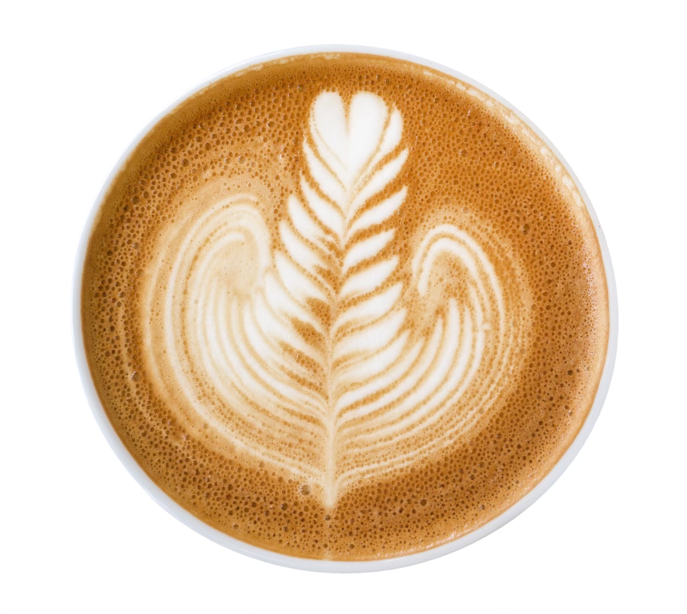 Slim Coffee/ Pumpkin Spice – Evolution Fit